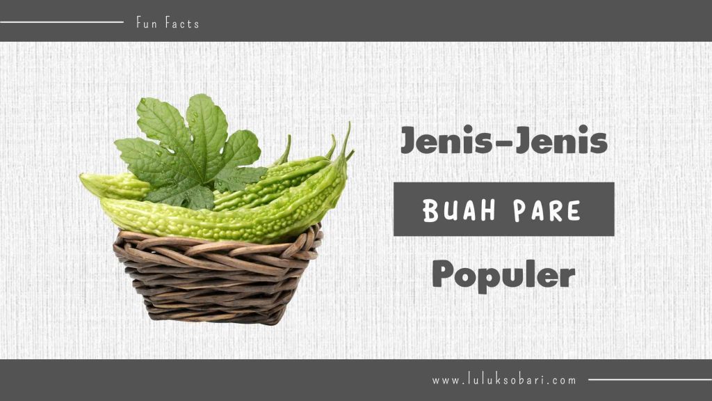 Jenis-Jenis Buah Pare Populer di Indonesia | Blogger Perempuan Network