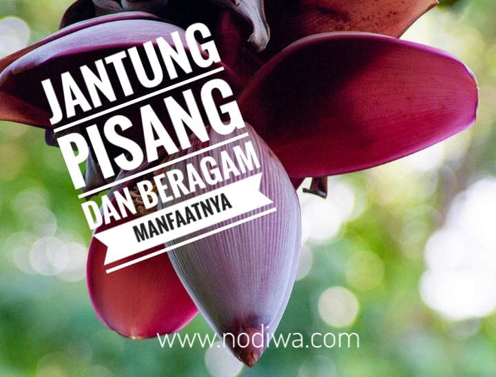 Jantung Pisang dan Beragam Manfaatnya | Blogger Perempuan Network