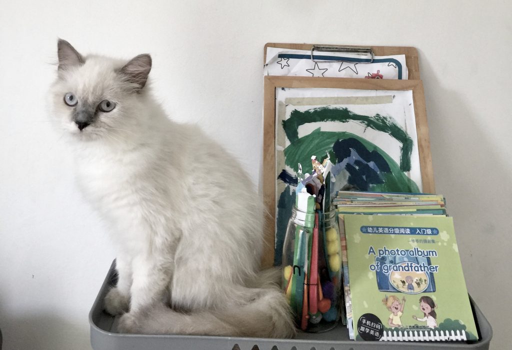 SIMAK, INI MANFAAT MEMELIHARA KUCING BAGI ANAK-ANAK! | Blogger ...